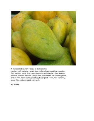 Mango cultivars in pakistan | DOCX