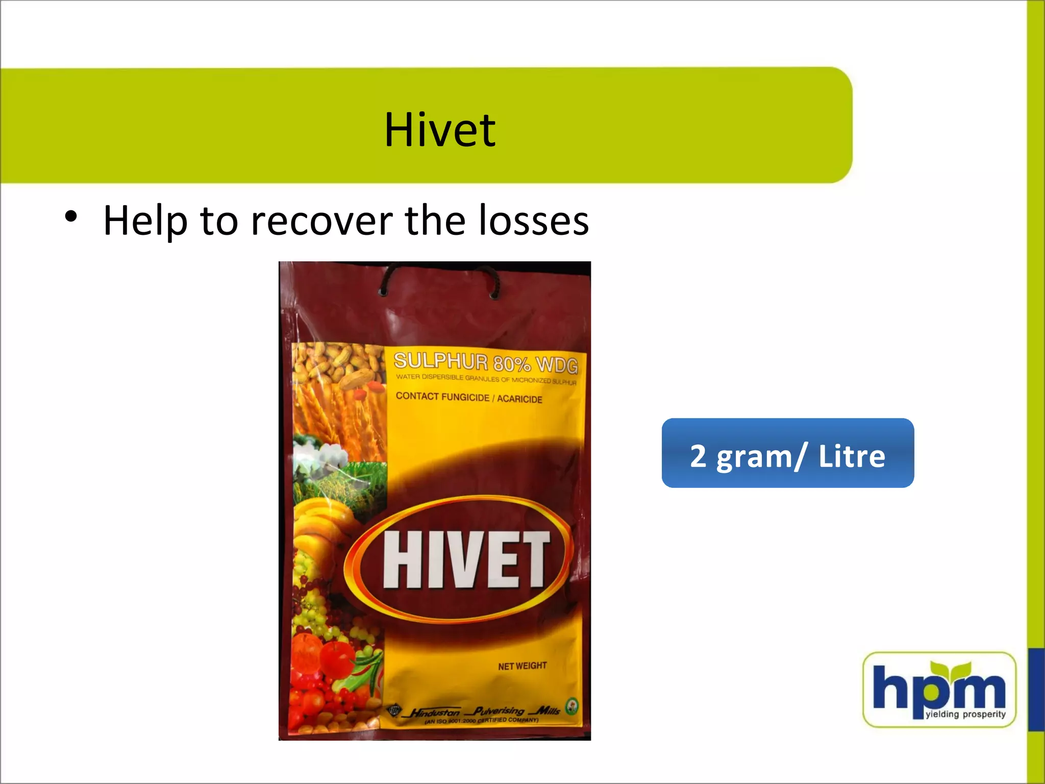 HPM Mango | PPT