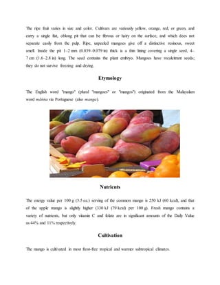 Mango | PDF