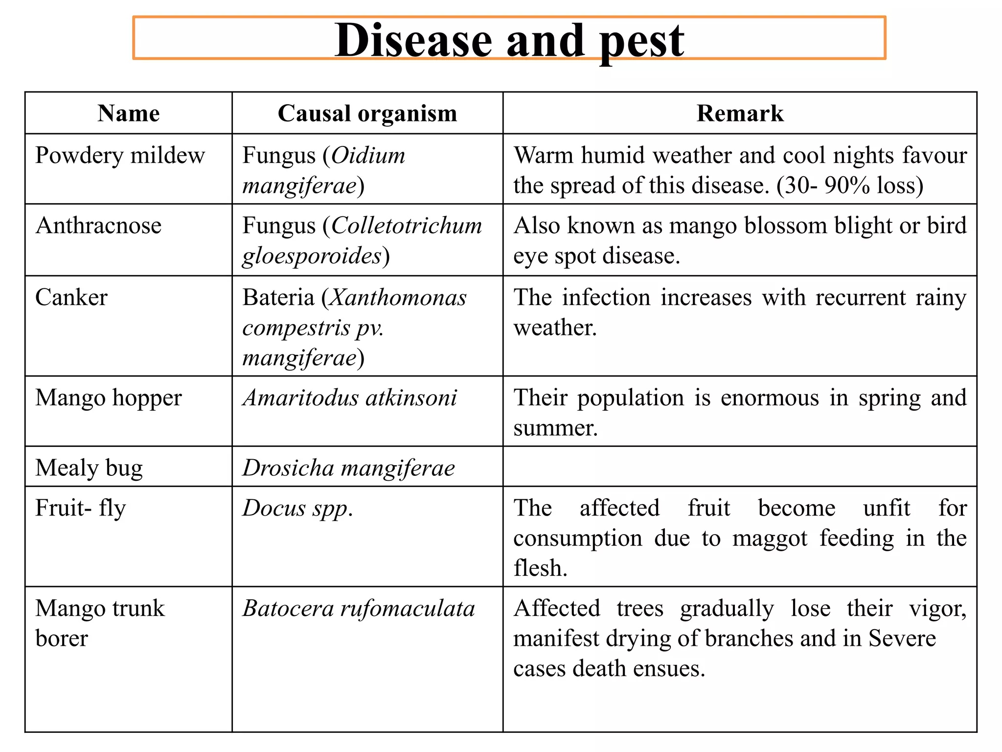 Mango: An Overview | PPTX