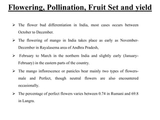 Mango: An Overview | PPTX