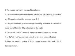 Mango: An Overview | PPTX