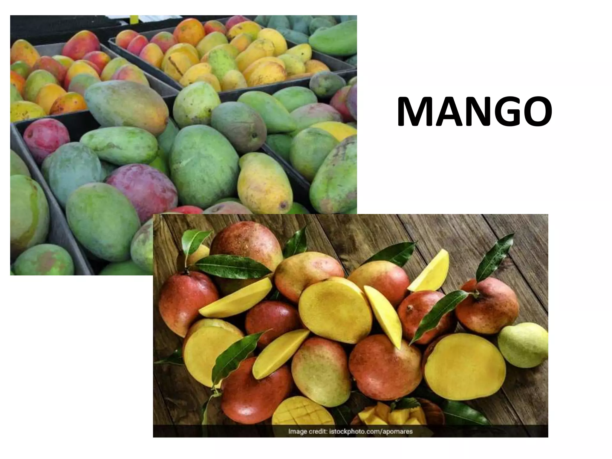 Mango crop description uses production | PPT