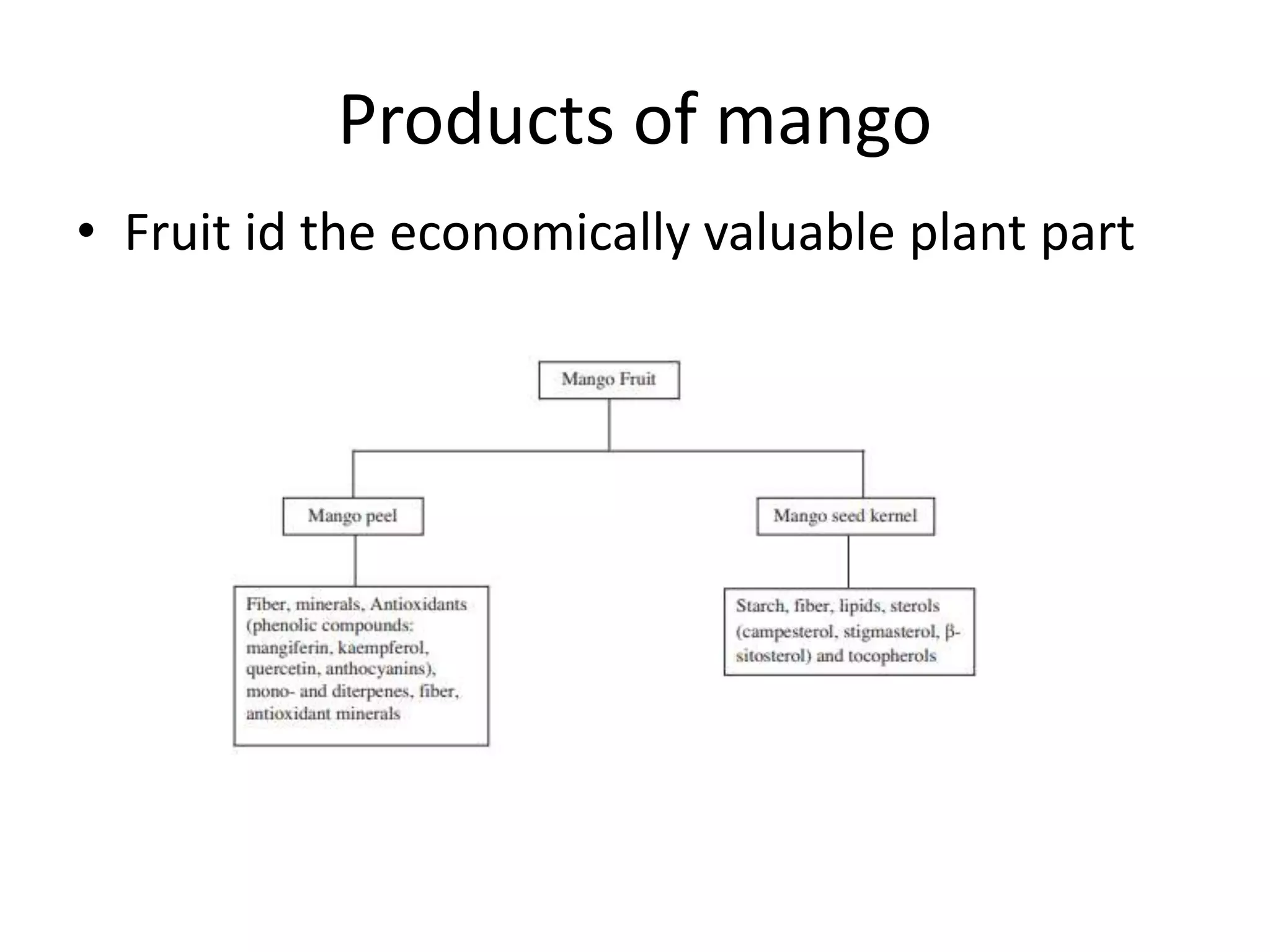 Mango crop description uses production | PPT