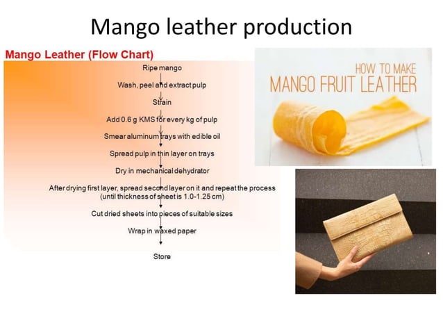 Mango crop description uses production | PPT
