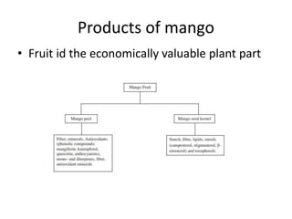 Mango crop description uses production | PPT