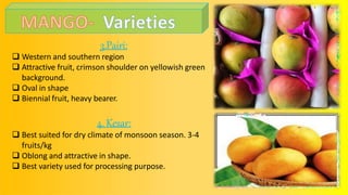 mango-210409035610.pptx