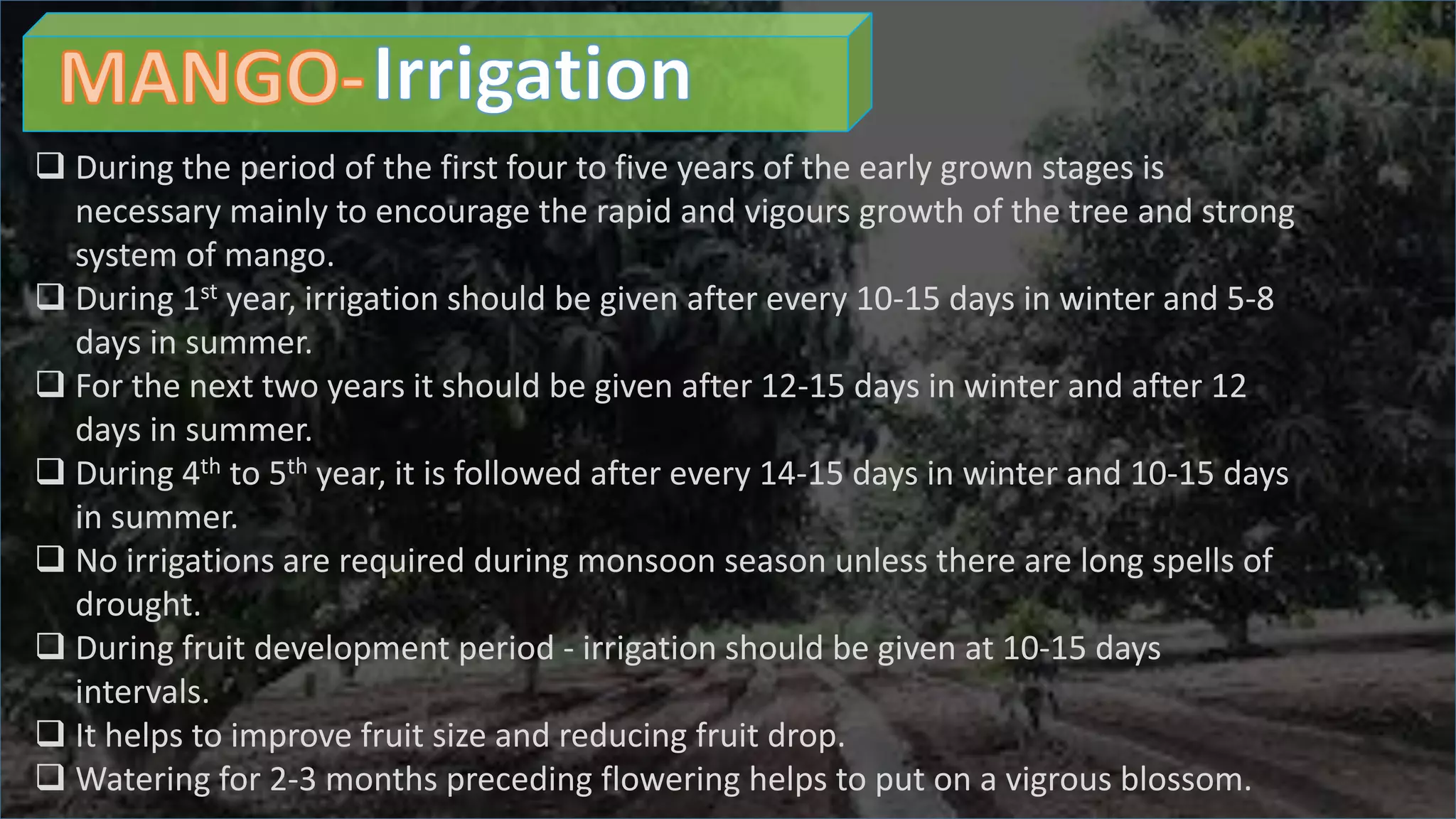Mango cultivation practices | PPTX