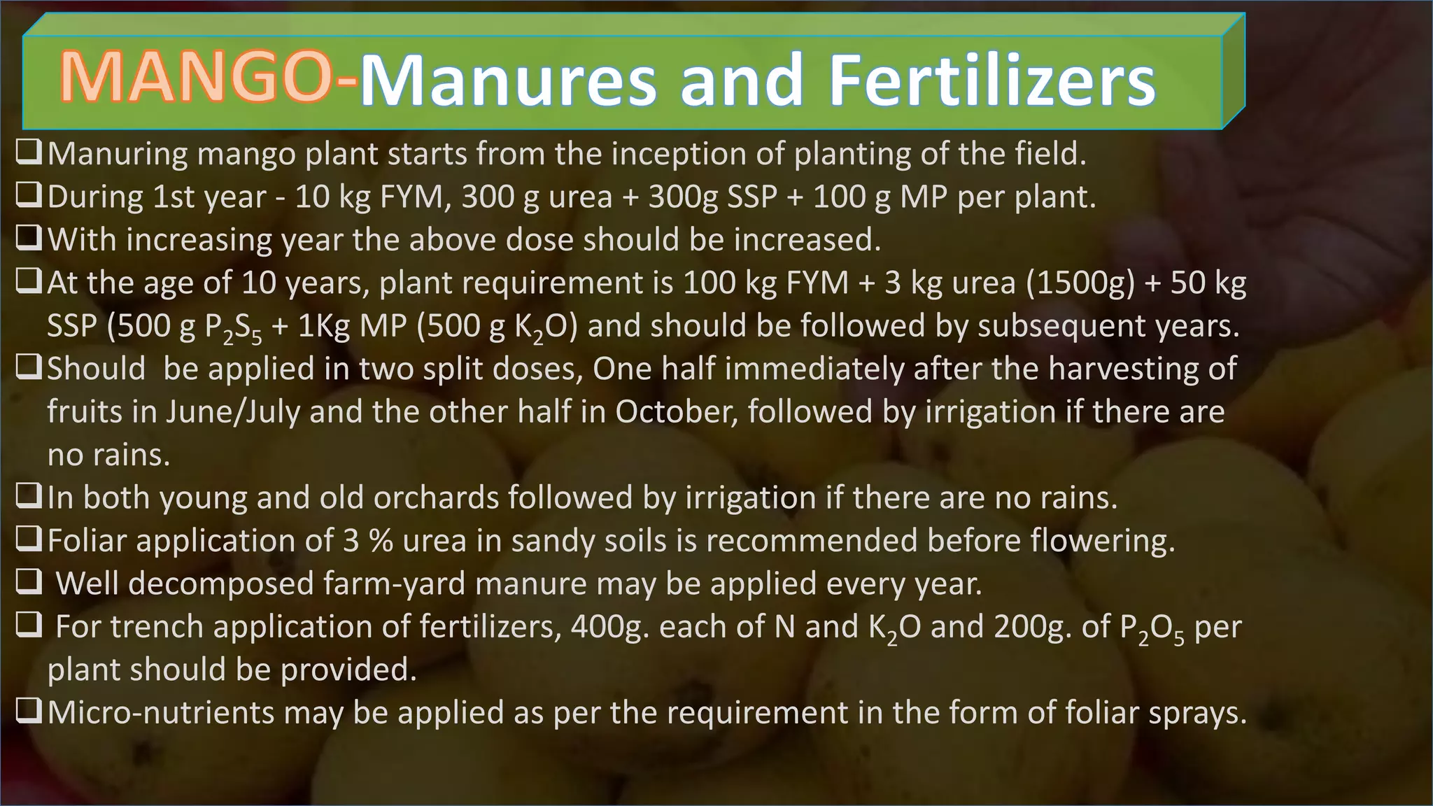Mango cultivation practices | PPTX