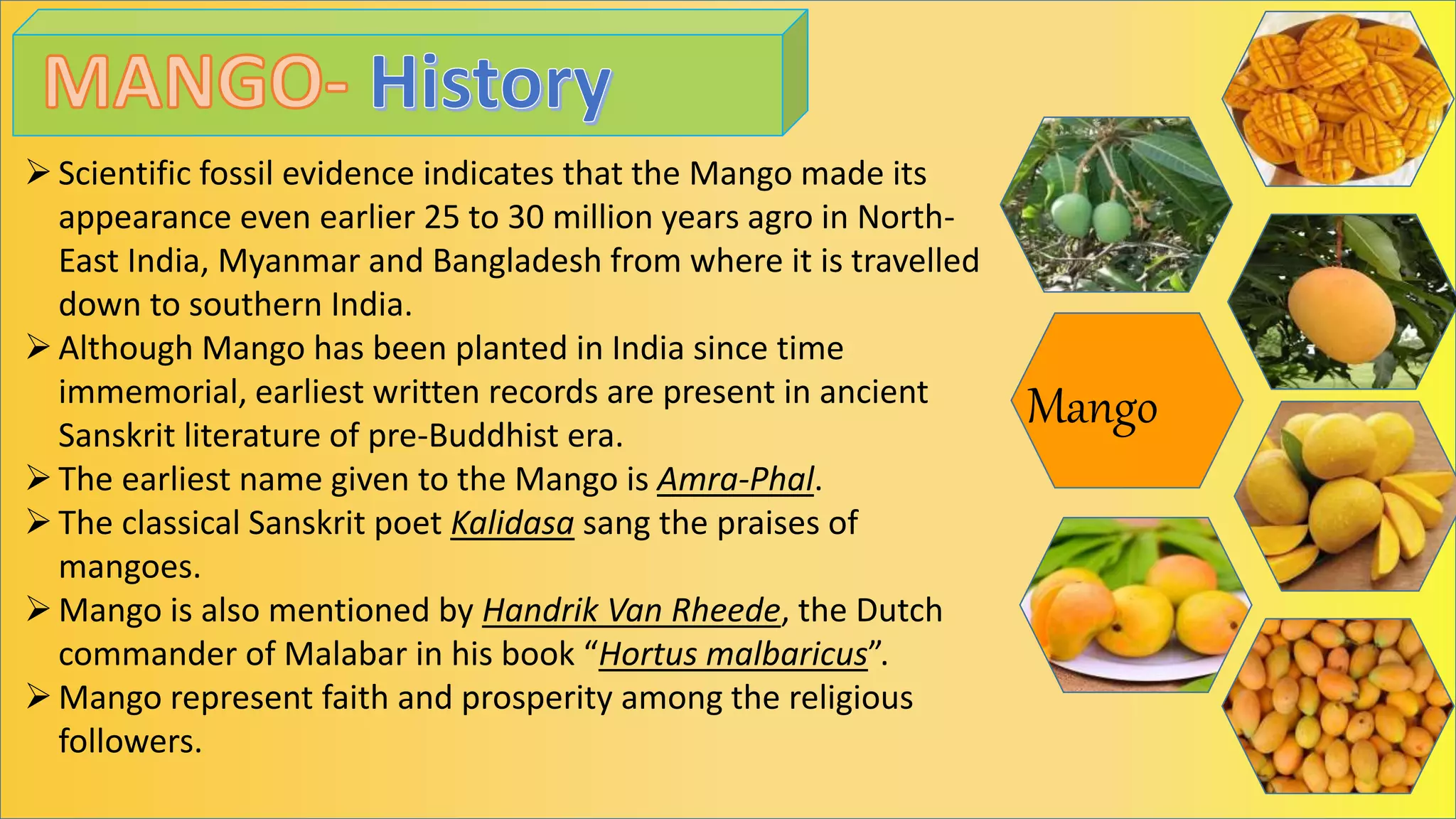 Mango cultivation practices | PPTX