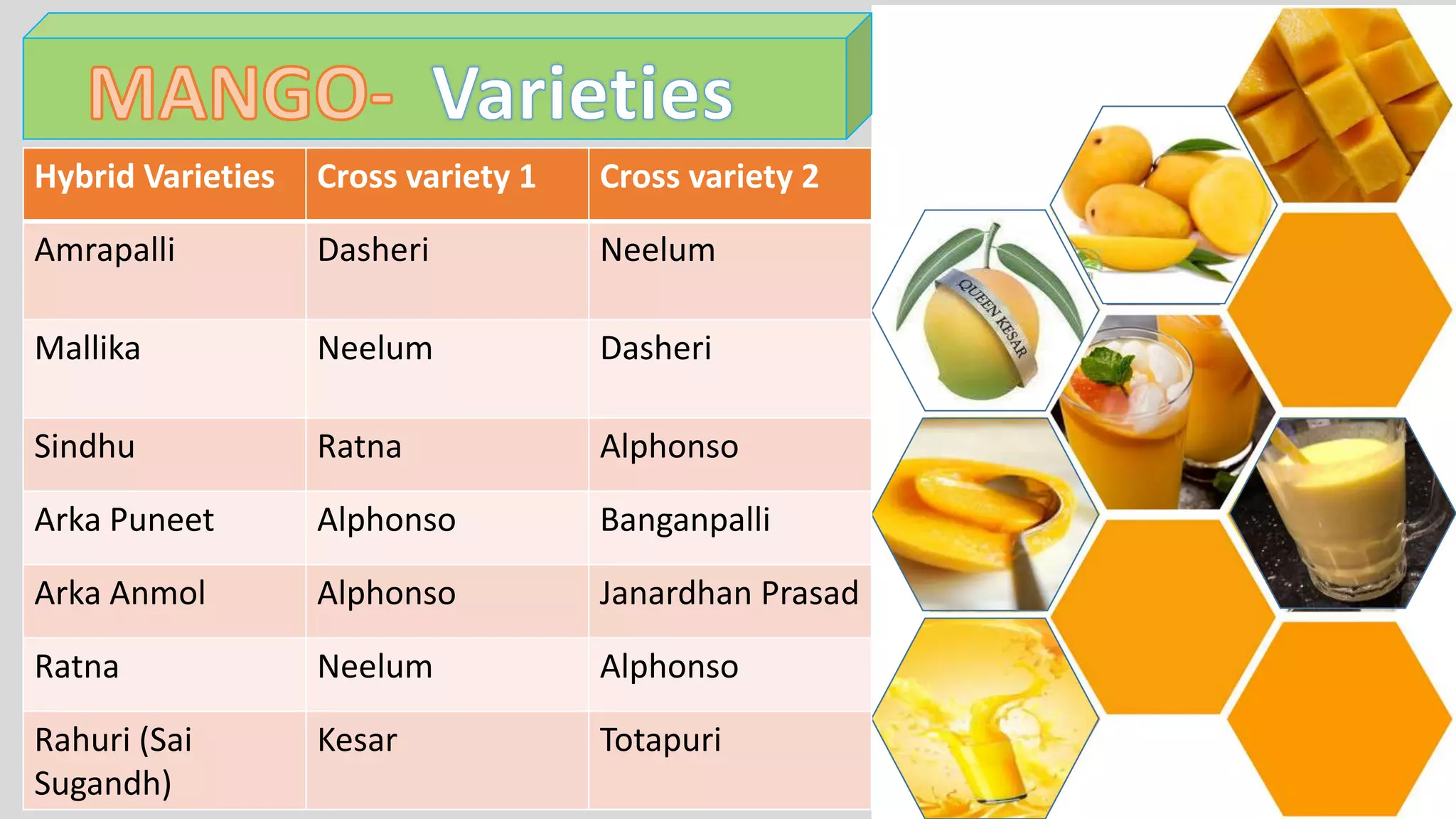 Mango cultivation practices | PPTX