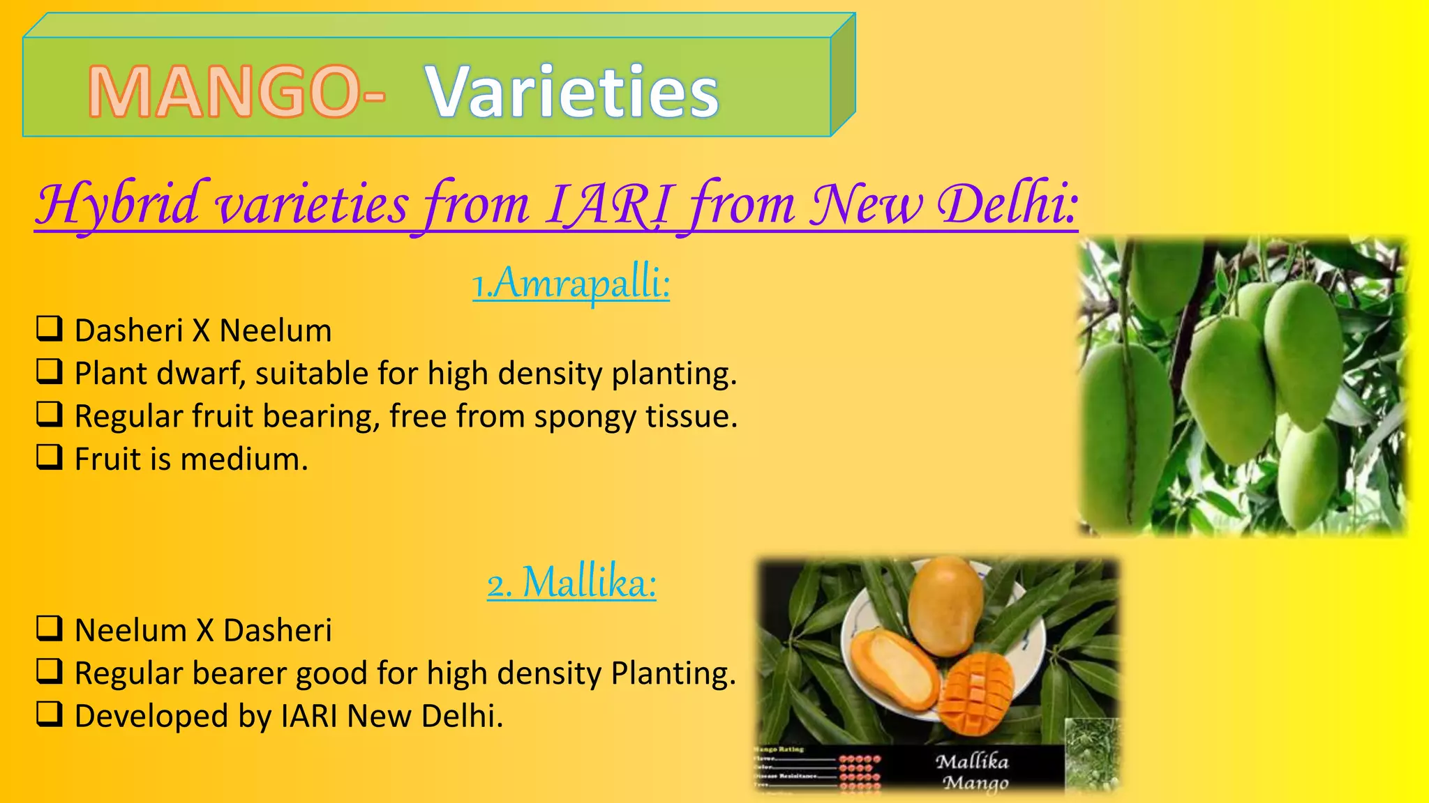 Mango cultivation practices | PPTX