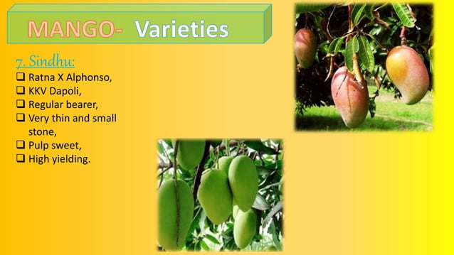 Mango cultivation practices | PPTX | Gardening | Home & Garden