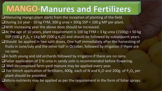 Mango cultivation practices | PPTX