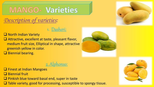 Mango cultivation practices | PPTX | Gardening | Home & Garden