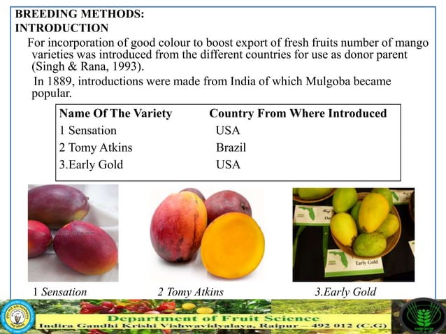 Advances breeding of Mango | PPTX