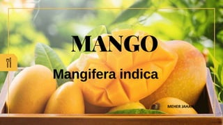 Mango | PPTX | Nutrition | Healthy Living