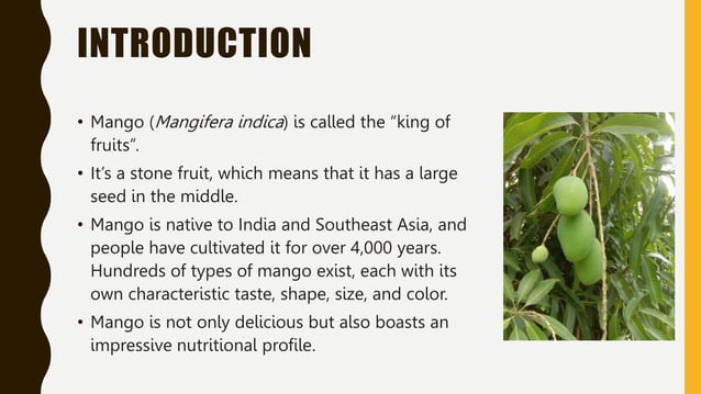 mango from maharastra economic poin.pptx