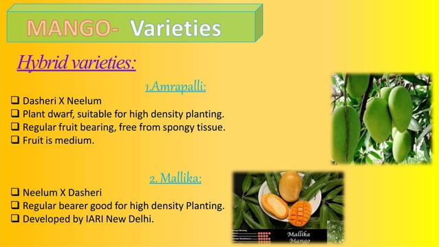 mango-ppt.pptx | Agriculture | Industries