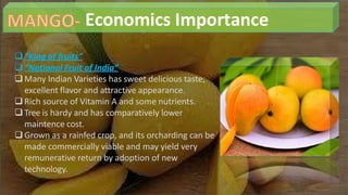 mango-ppt.pptx