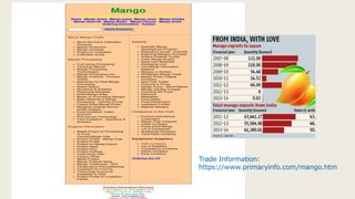 Mango processing | PDF