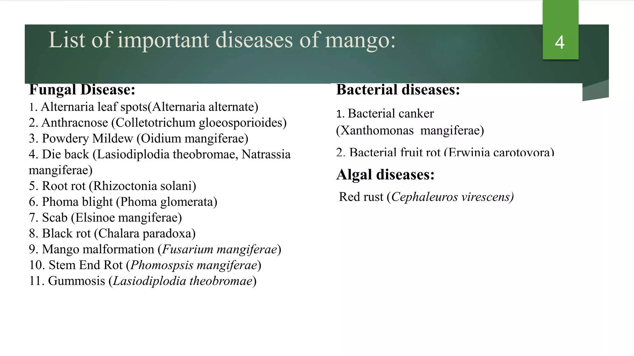 Mango Diseases | PPTX