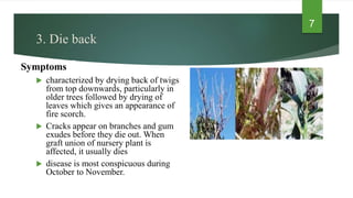 Mango Diseases | PPTX