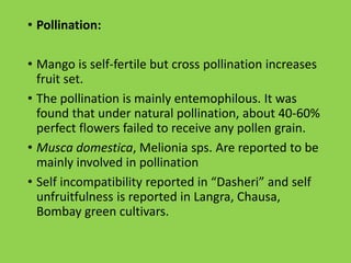 Mango breeding | PPTX | Gardening | Home & Garden