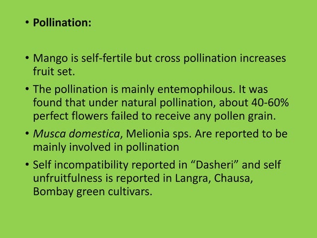 Mango breeding | PPTX | Gardening | Home & Garden