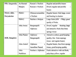 Mango breeding | PPTX | Gardening | Home & Garden