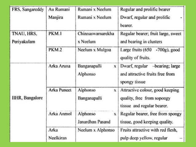 Mango breeding | PPTX | Gardening | Home & Garden