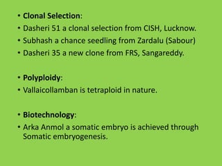 Mango breeding | PPTX | Gardening | Home & Garden