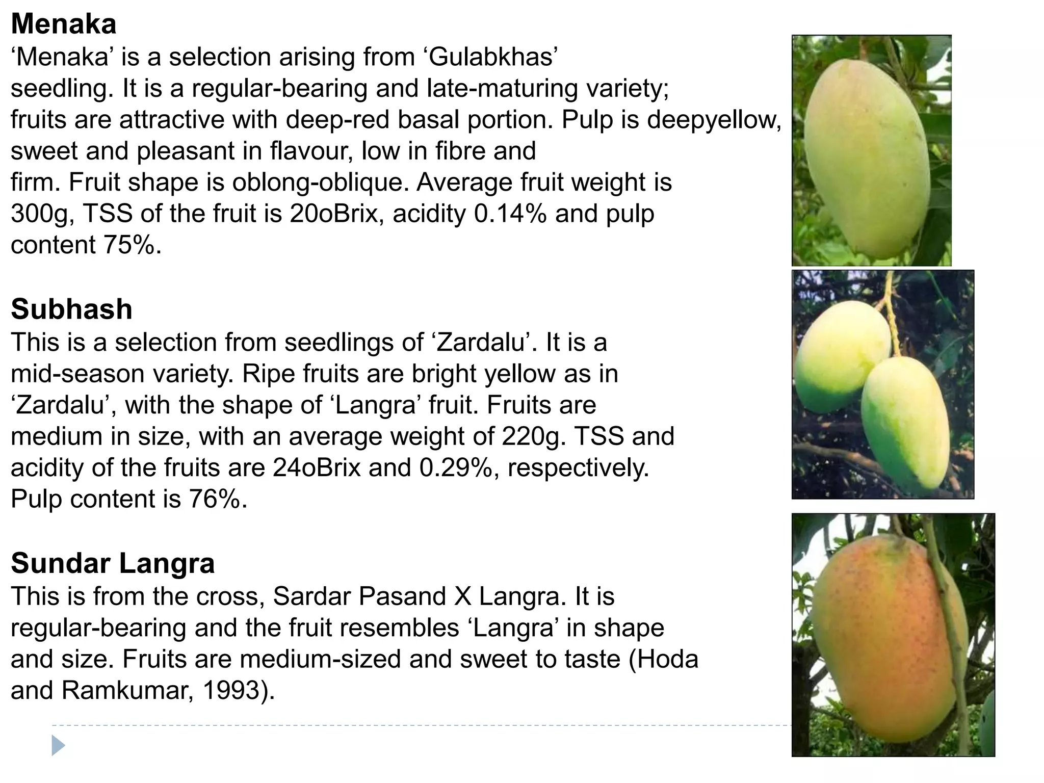 BREEDING IN MANGO | PPTX