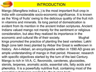 BREEDING IN MANGO | PPTX
