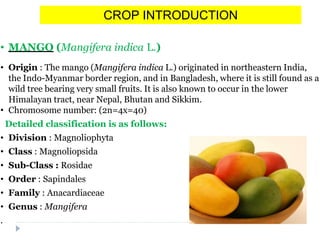 BREEDING IN MANGO | PPTX