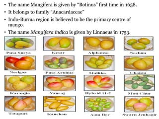 BREEDING IN MANGO | PPTX