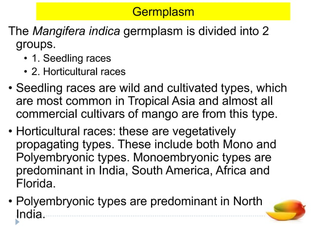 BREEDING IN MANGO | PPTX | Gardening | Home & Garden