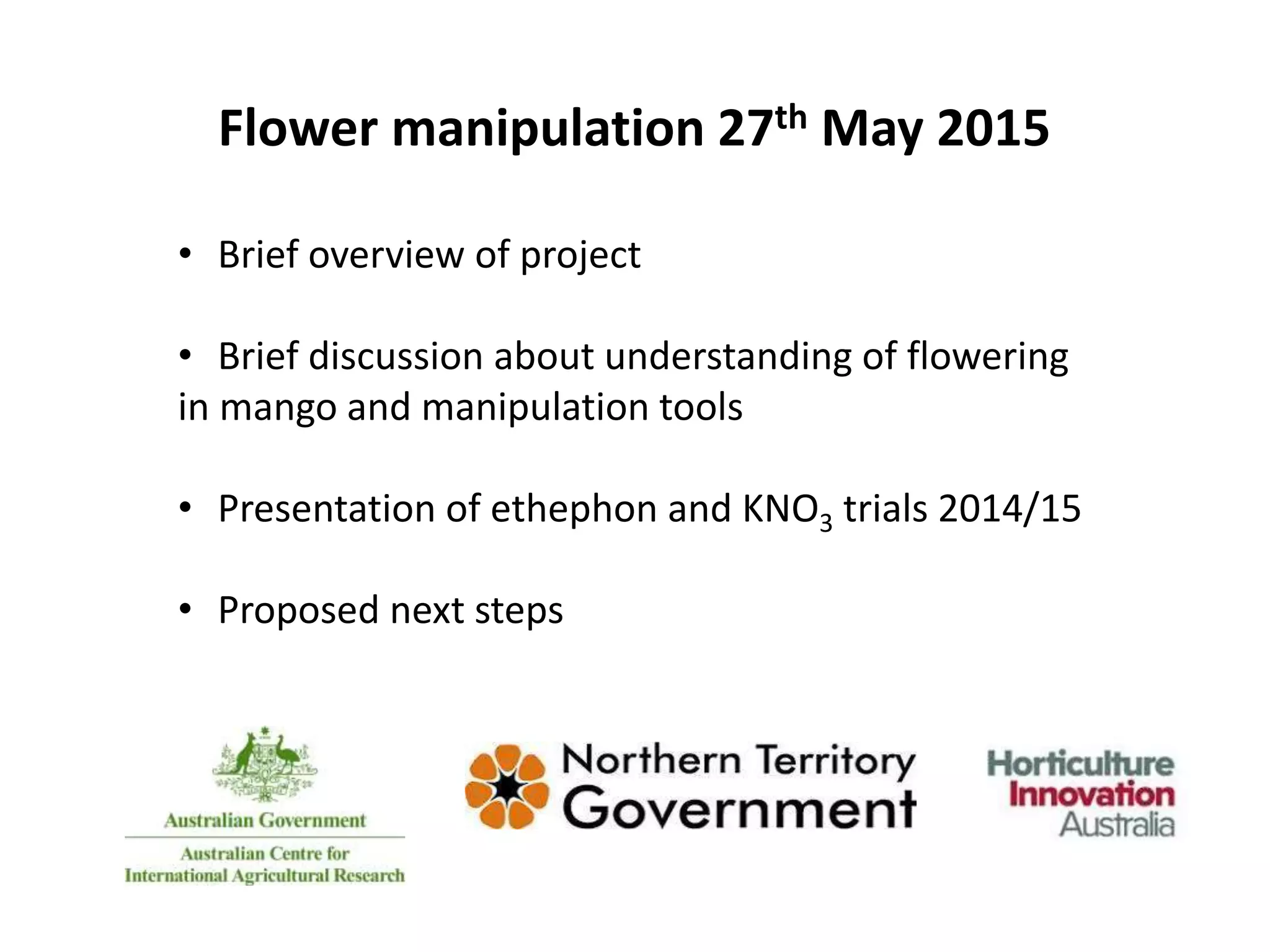 Mango crop manipulation - Presentation from the Darwin Mango Field Day ...