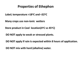 Mango crop manipulation - Presentation from the Darwin Mango Field Day ...
