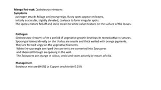 Mango diseases | PPTX