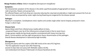Mango diseases | PPTX