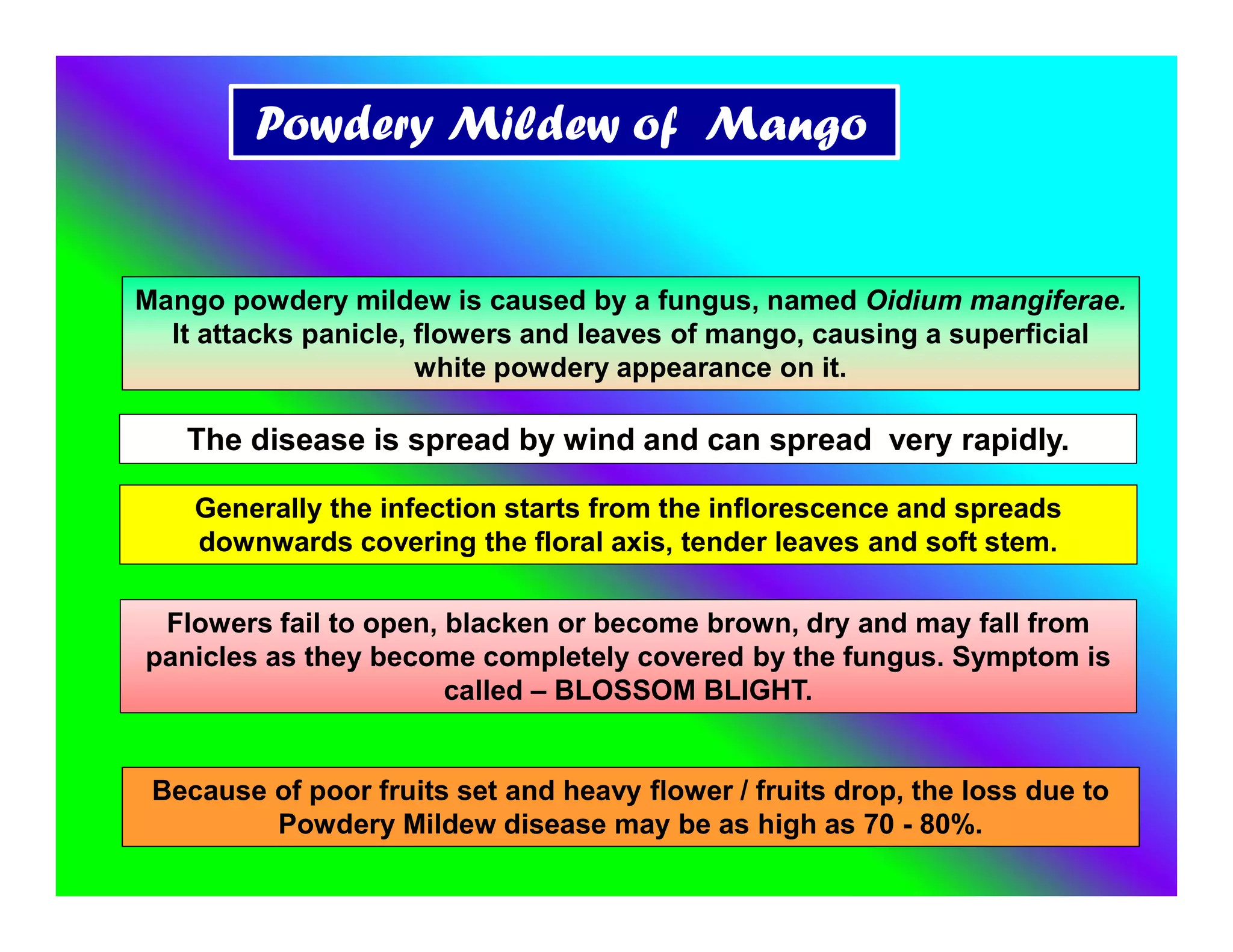 Mango diseases and its management | PDF