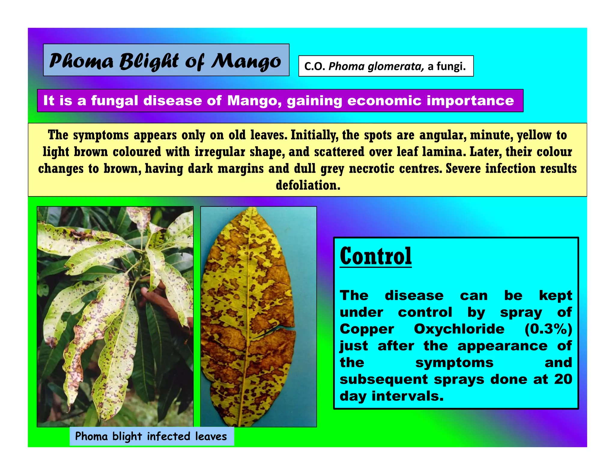 Mango diseases and its management | PDF