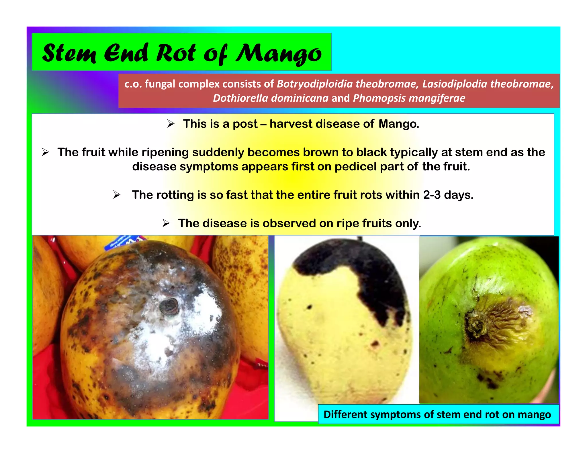 Mango diseases and its management | PDF