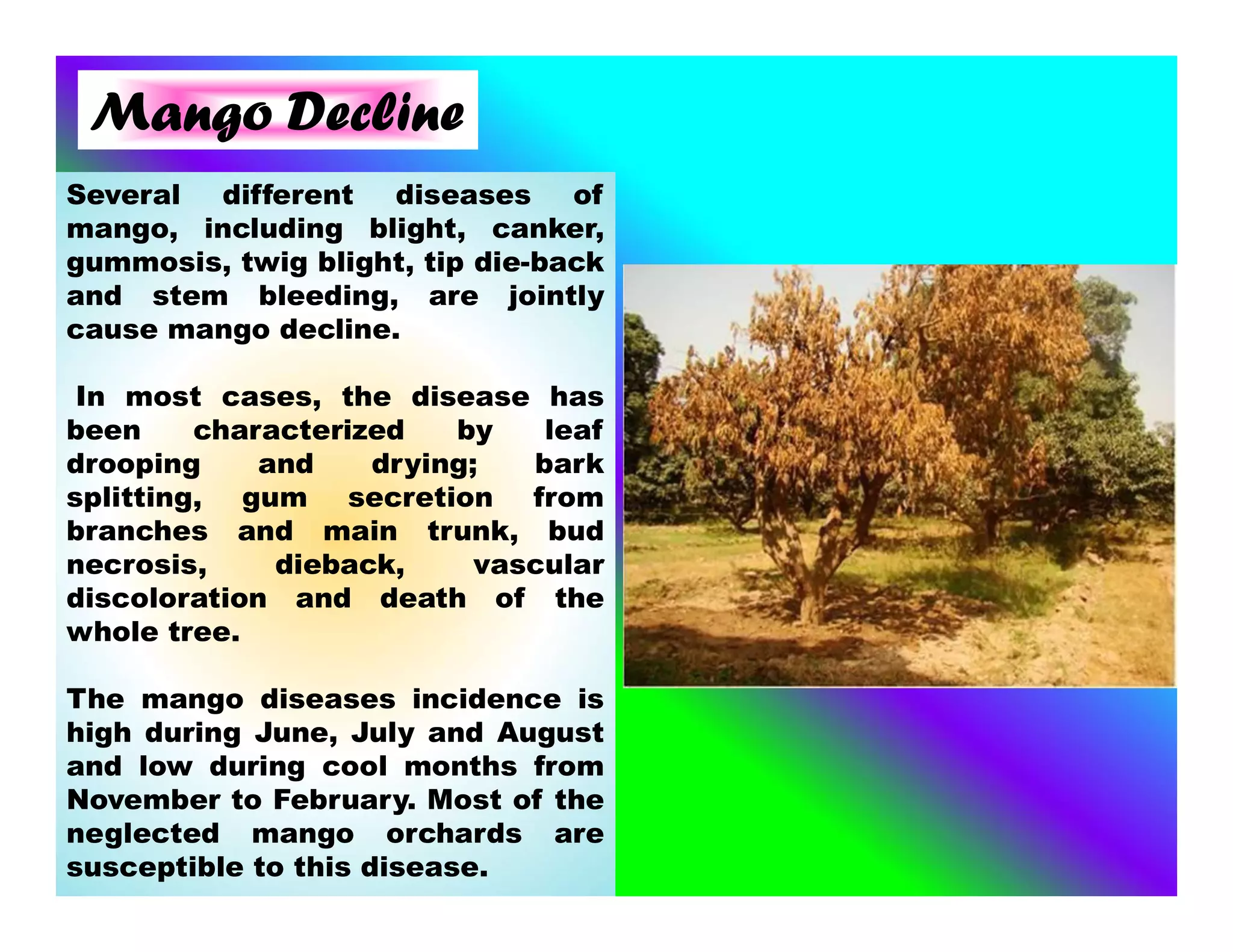 Mango diseases and its management | PDF