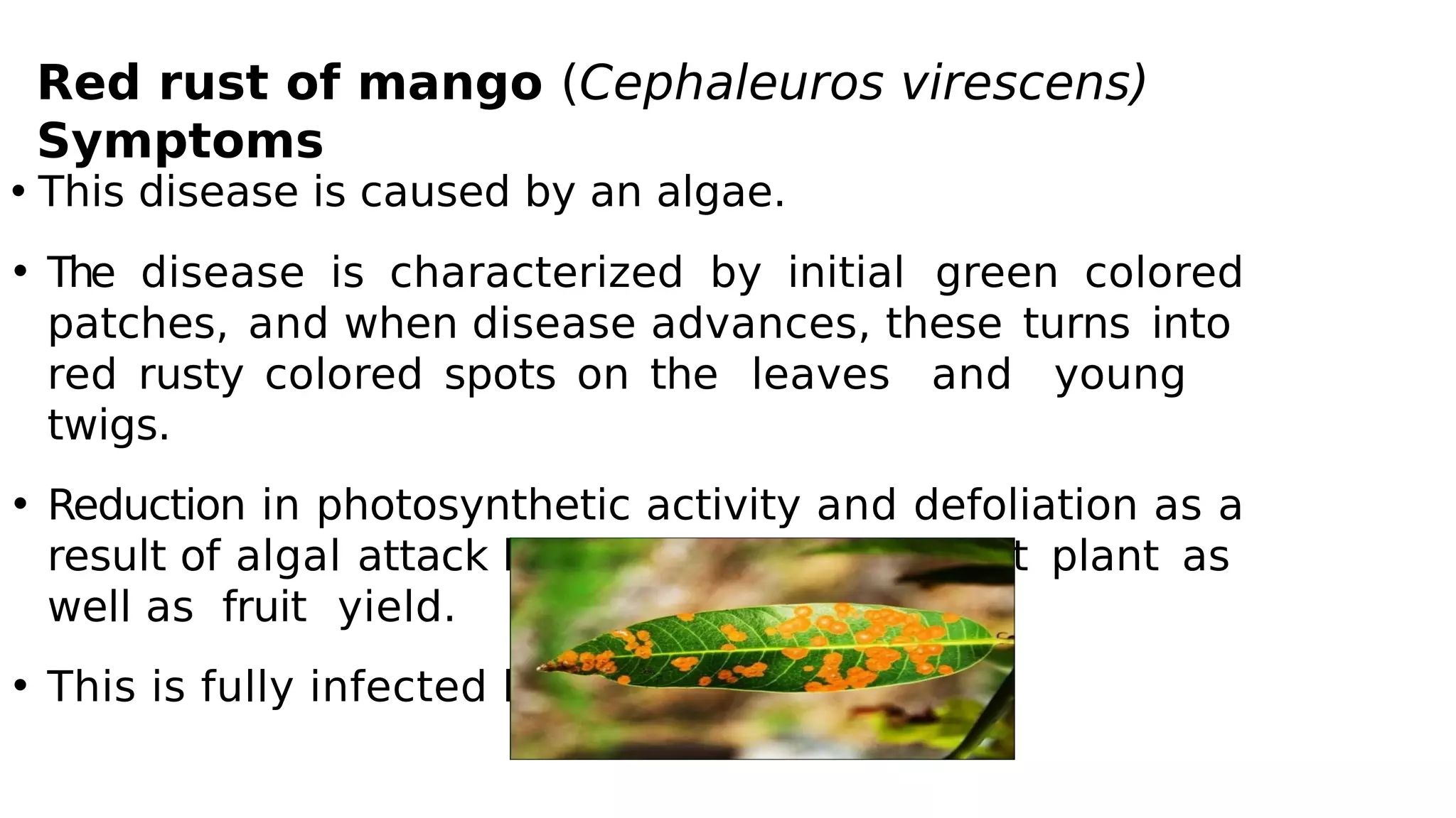 Mango diseases and their management in pakistan.pptx. by Farhan Meyo | PPT