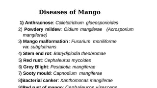 Mango diseases and their management in pakistan.pptx. by Farhan Meyo | PPT