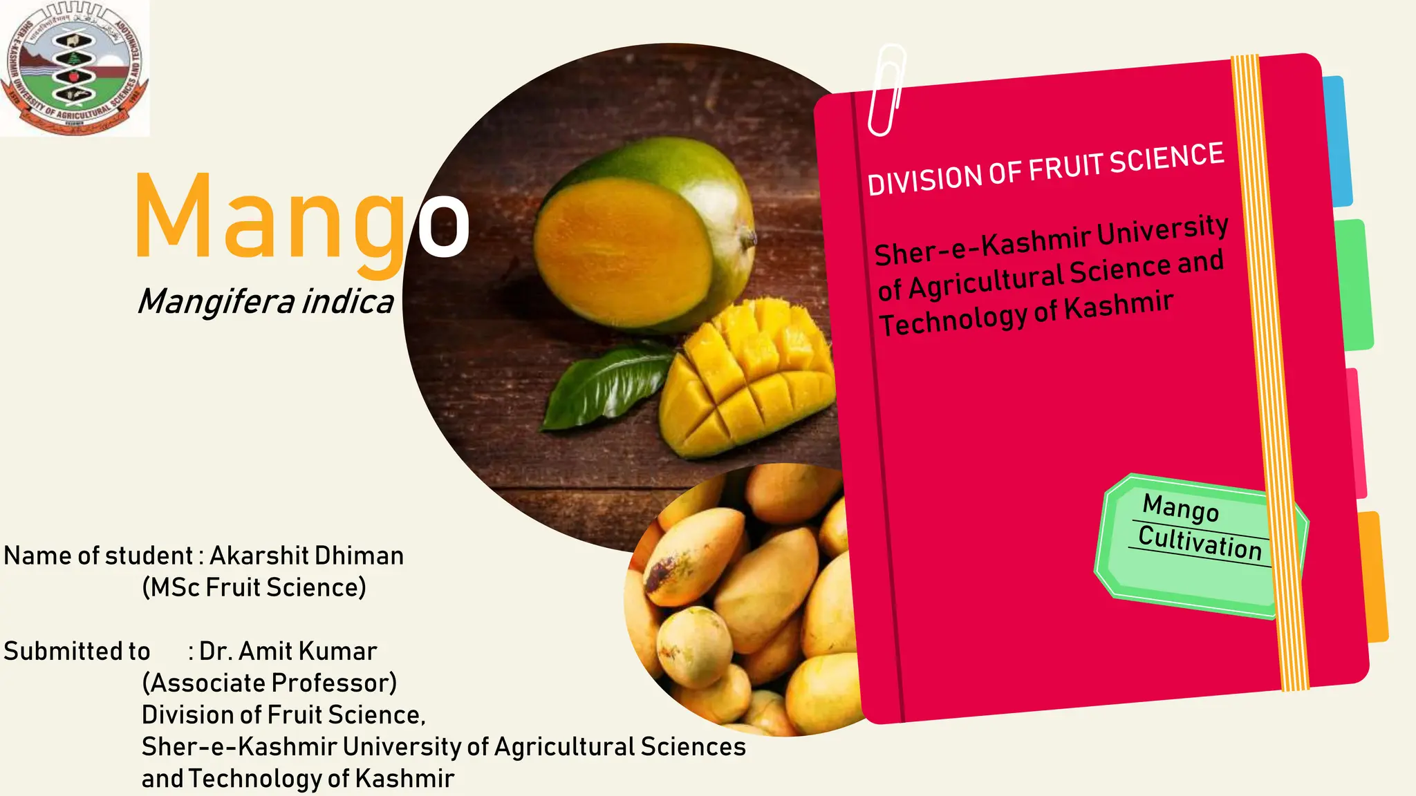 Mango: Production Technology , Plant protection , Agronomy , Varieties | PPTX