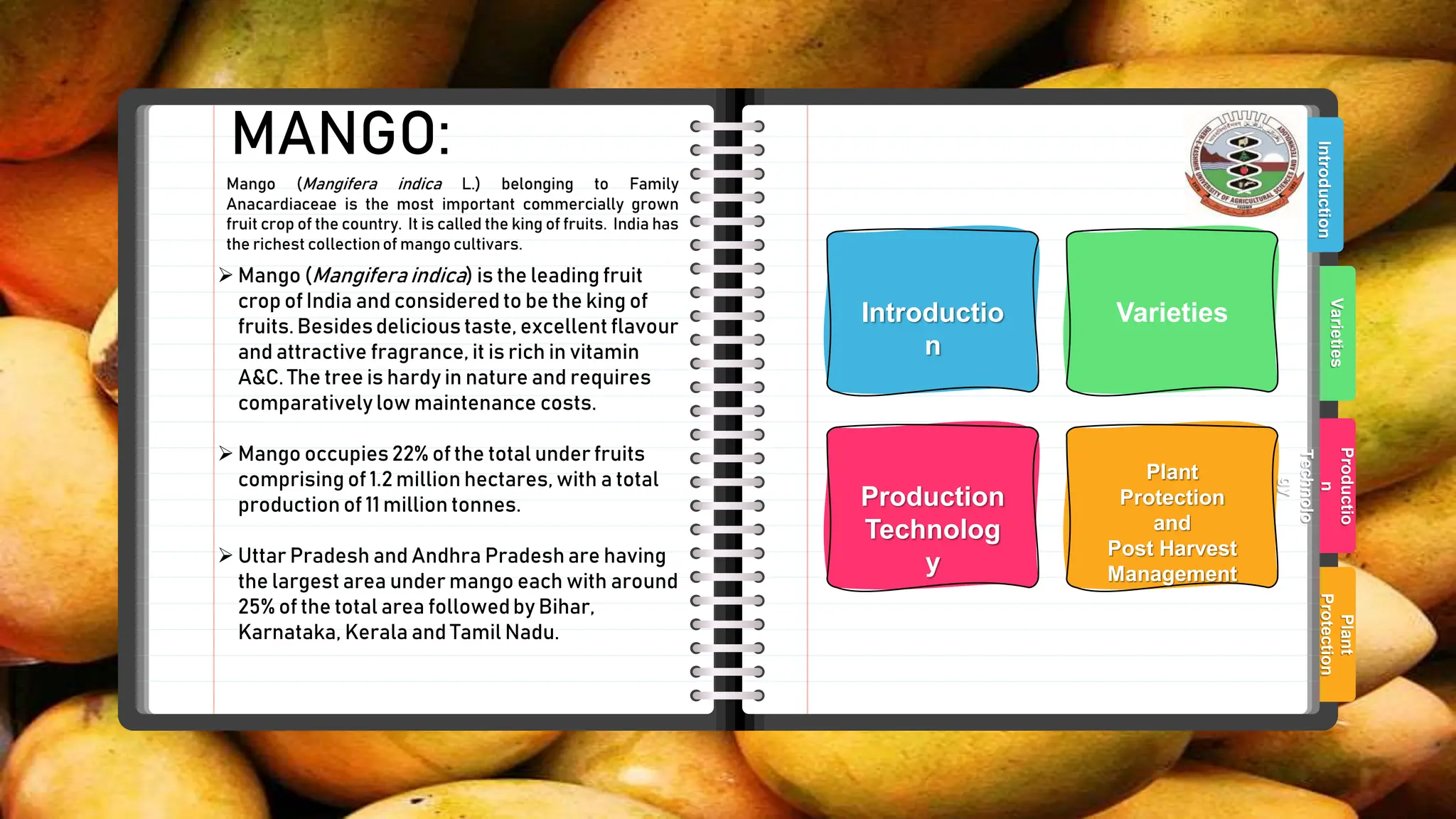 Mango: Production Technology , Plant protection , Agronomy , Varieties | PPTX