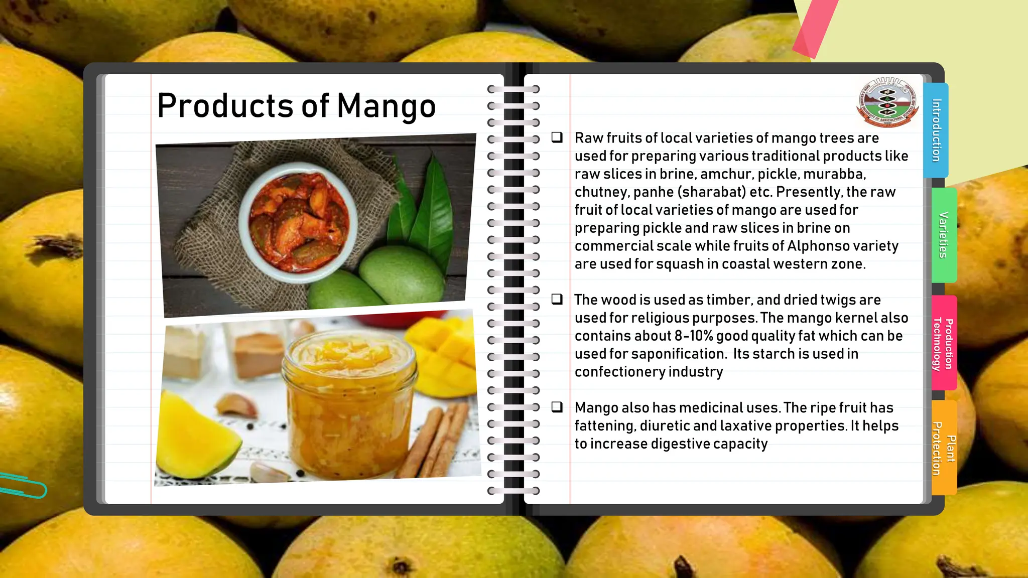 Mango: Production Technology , Plant protection , Agronomy , Varieties | PPTX